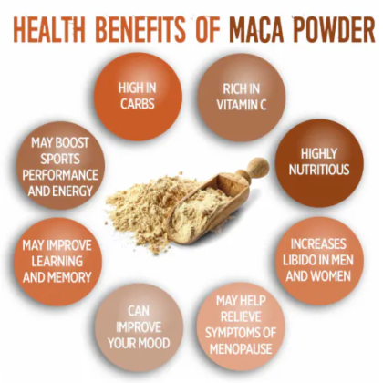 WHAT IS MACA ROOT? USES, TYPES, BENEFITS, AND HEALTH RISK - Herbal ...