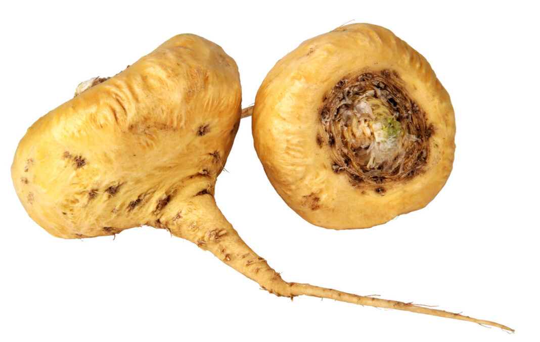 WHAT IS MACA ROOT? USES, TYPES, BENEFITS, AND HEALTH RISK - Herbal ...