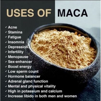 WHAT IS MACA ROOT? USES, TYPES, BENEFITS, AND HEALTH RISK - Herbal ...