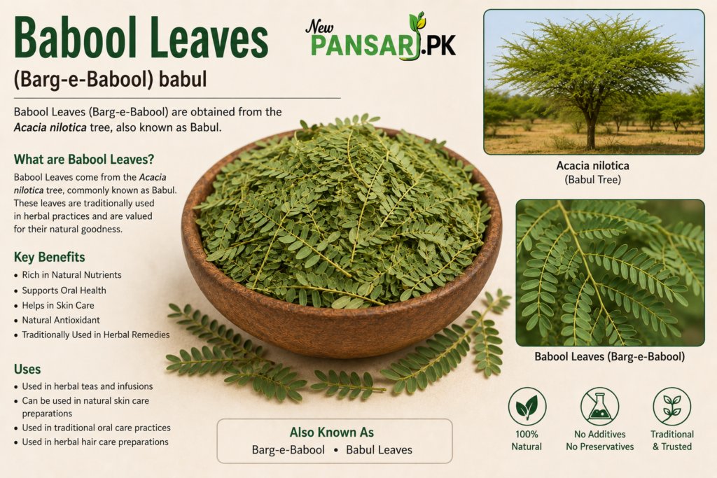 Health Benefits of Acacia (Babul) Tree Bark, Flowers, Leaves and Gum ...
