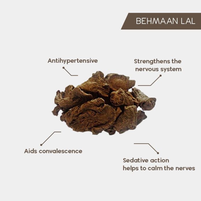 Health Benefits of Behman, Types, Forms and Side Effects - Herbal ...
