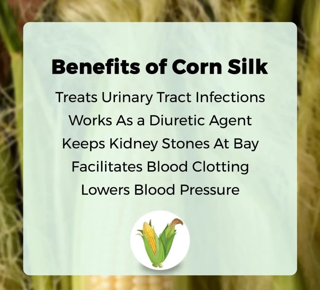 Health Benefits of Corn Silk Along it’s Uses and Side Effects - Herbal ...