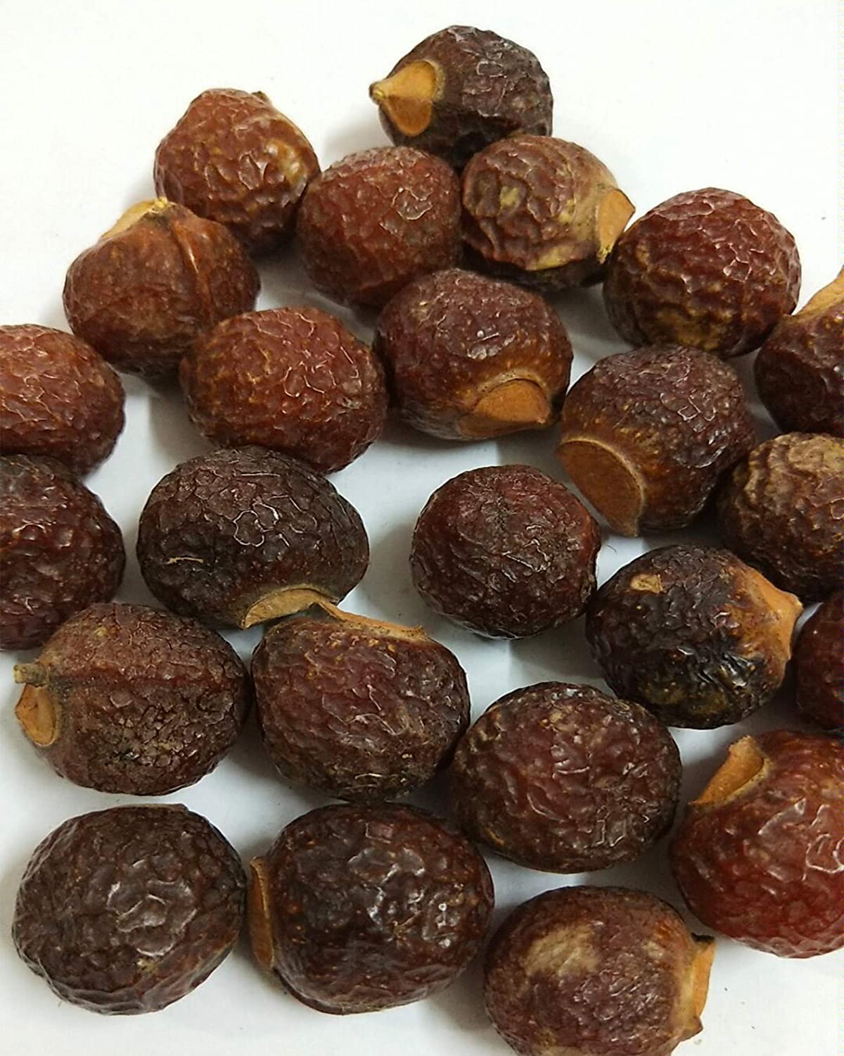 Health Benefits of RETHA, Types, Uses and Side Effects - Herbal Information