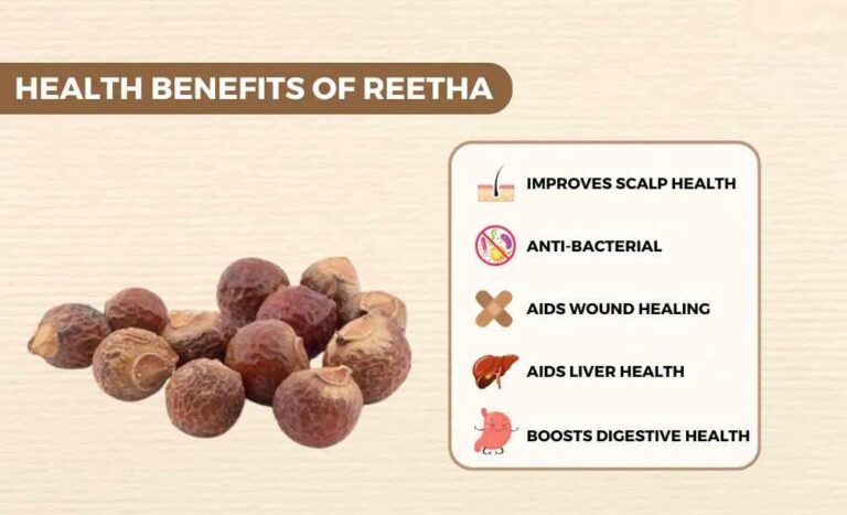 Health Benefits of RETHA, Types, Uses and Side Effects - Herbal Information