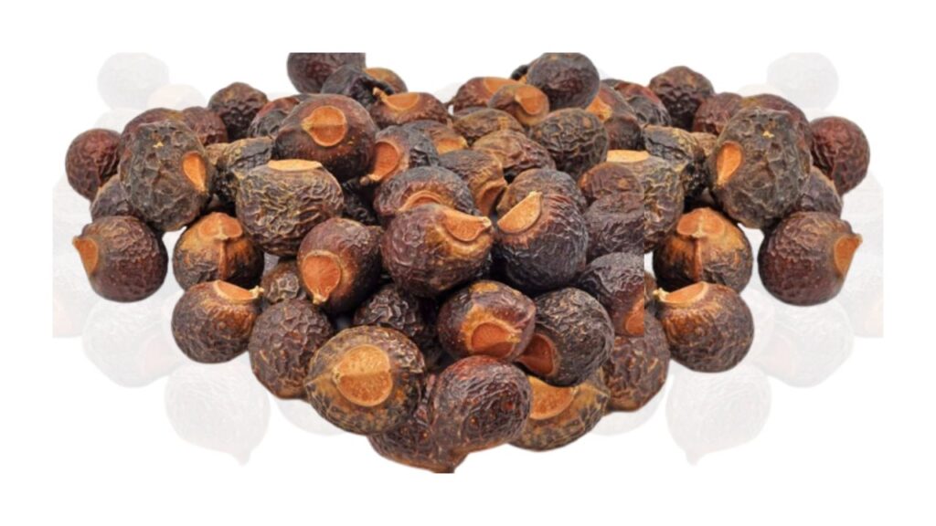 Health Benefits of RETHA, Types, Uses and Side Effects - Herbal Information