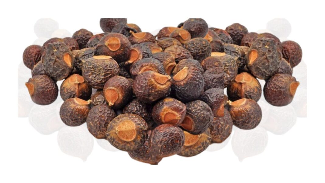 Health Benefits of RETHA, Types, Uses and Side Effects - Herbal Information