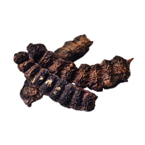 Health Benefits of Shikakai, Forms and Side Effects - Herbal Information