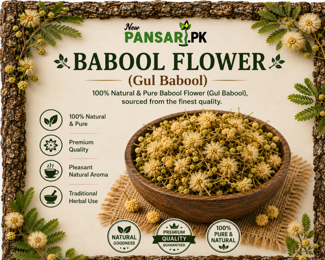Health Benefits of Acacia (Babul) Tree Bark, Flowers, Leaves and Gum ...