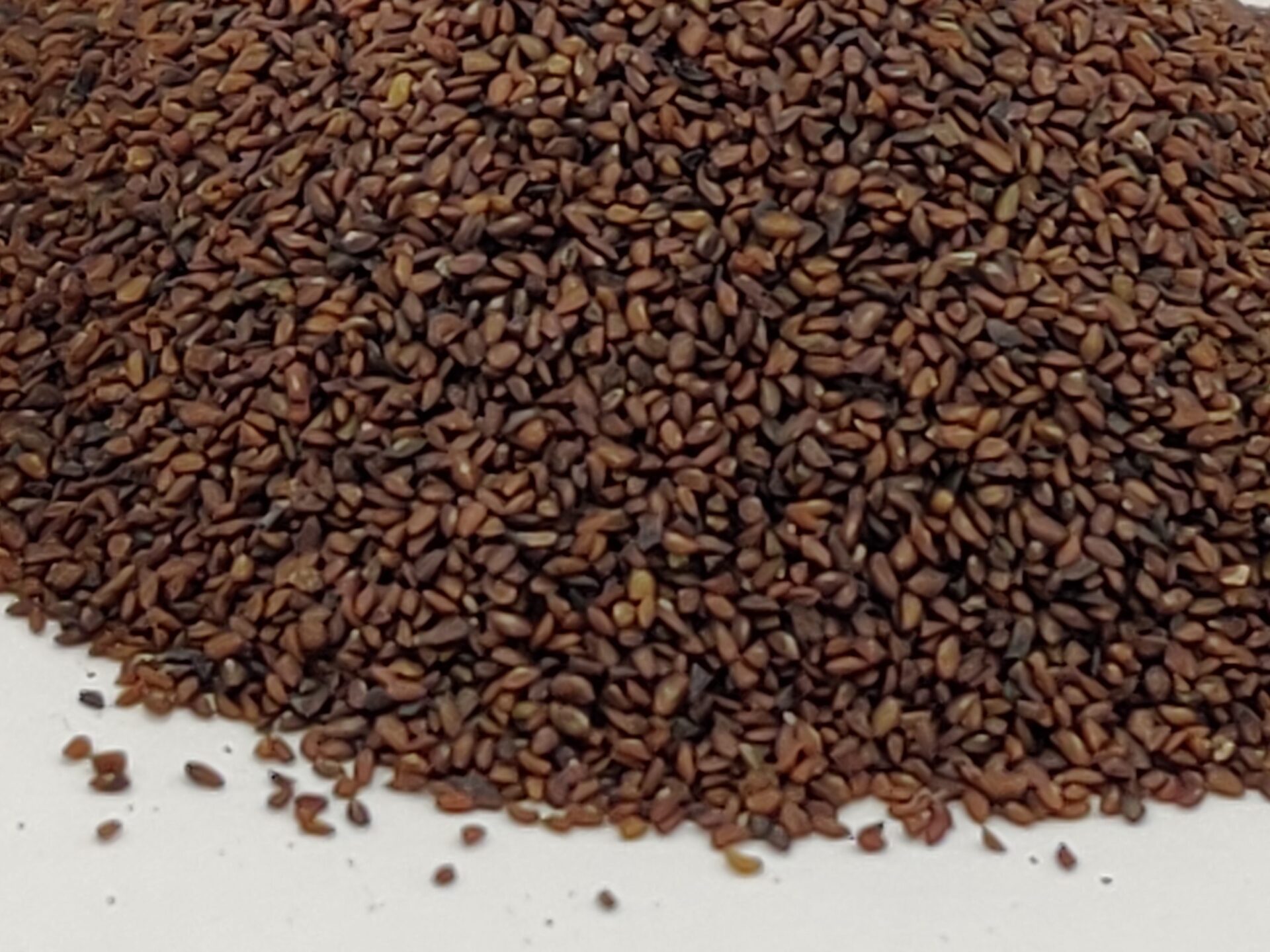 Health Benefits of Plantain Weed Seed (Bartang)and Its Side Effects ...
