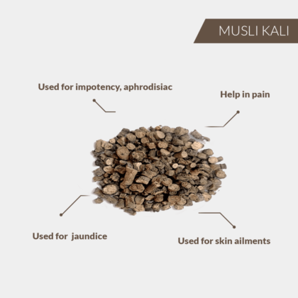 Health Benefits of Black Musli, Forms and Side Effects - Herbal Information