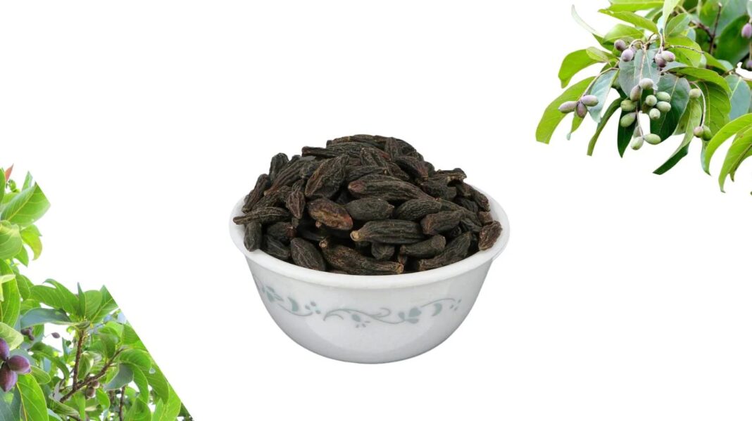 Health Benefits of Black Myrobalan(Choti Harad), Forms and Side Effects ...