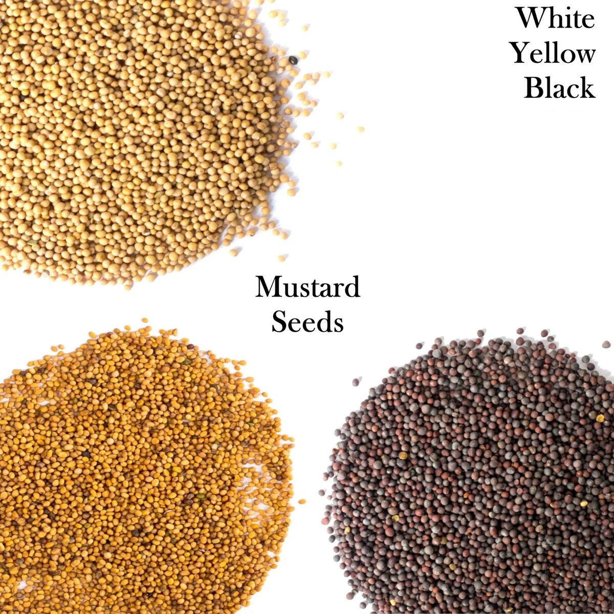 Health Benefits of Black Mustard Seeds, Forms and Side Effects - Herbal ...