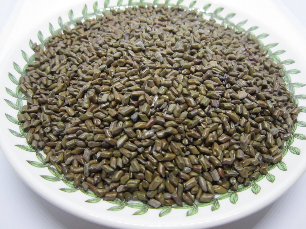 Unlock the Incredible Health Benefits and Side Effects of Cassia Seeds ...