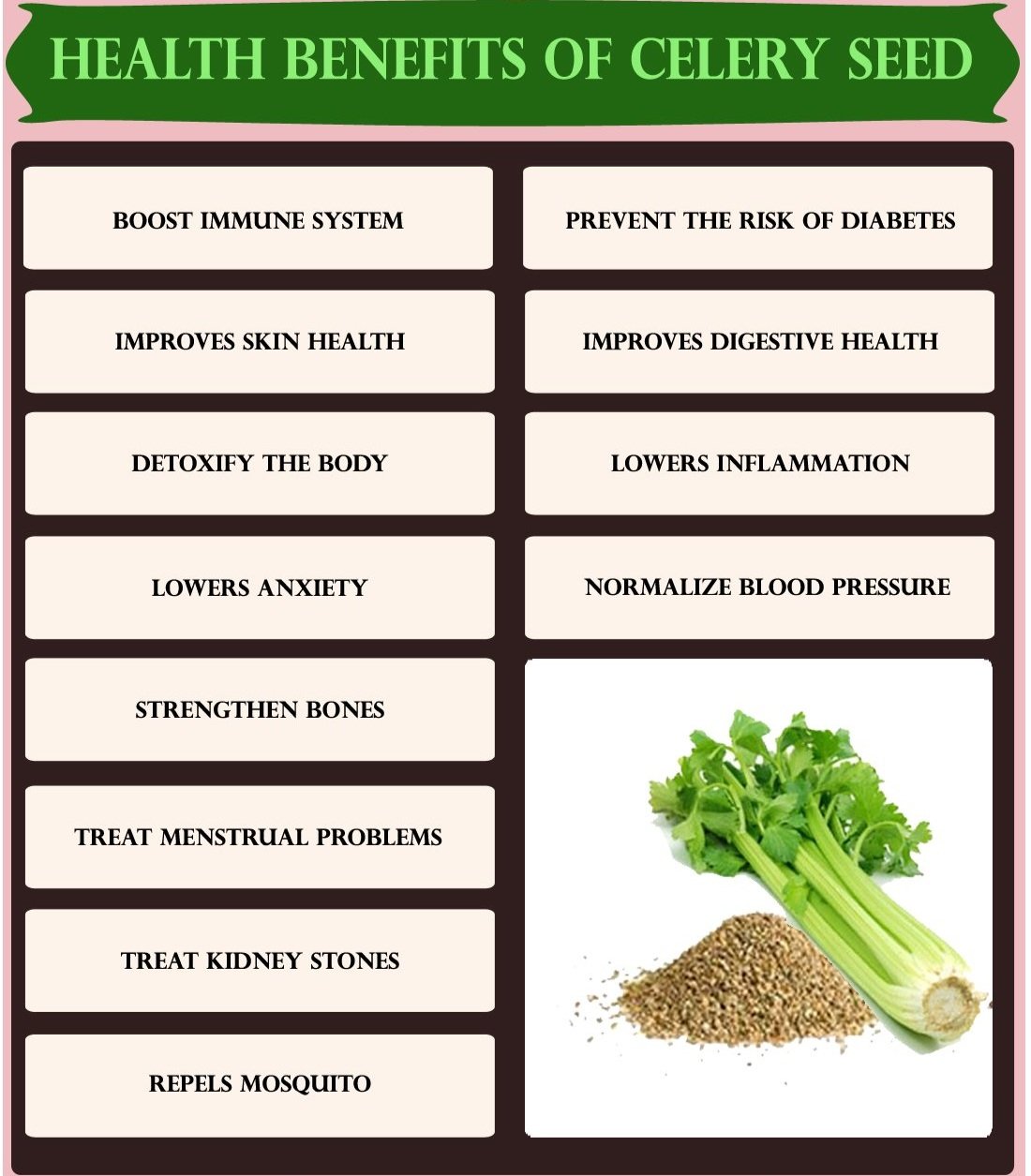 Celery Seeds, Health Benefits and Potential Side Effects You Should ...