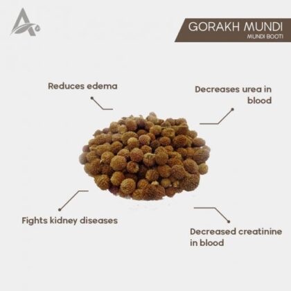 East Indian Globe Thistle (Gul Mandi / Mundi Booti): A Complete Guide ...