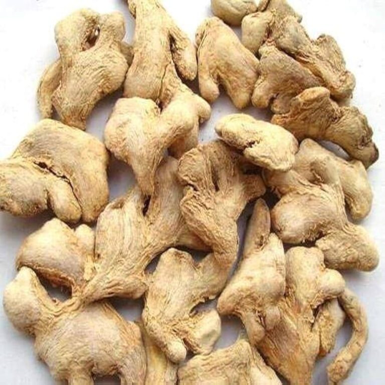 Dried Ginger (Sonth, Saunth) Benefits, Forms, and Side Effects - Herbal ...