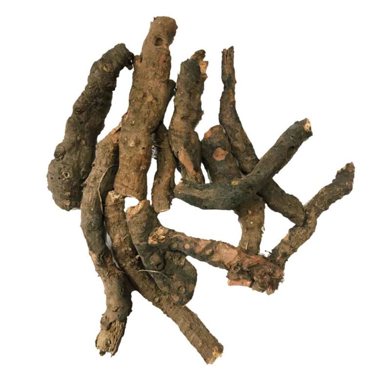 ANJBAR BENEFITS,SIDE EFFECTS AND THEIR USES - Herbal Information