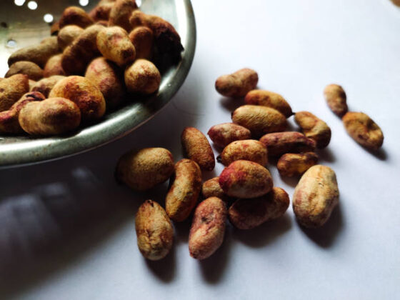 JAMUN SEEDS BENEFITS,SIDE EFFECTS AND THEIR USES - Herbal Information
