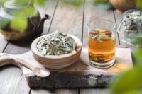 SENNA LEAVES BENEFITS,SIDE EFFECTS AND THEIR USES - Herbal Information