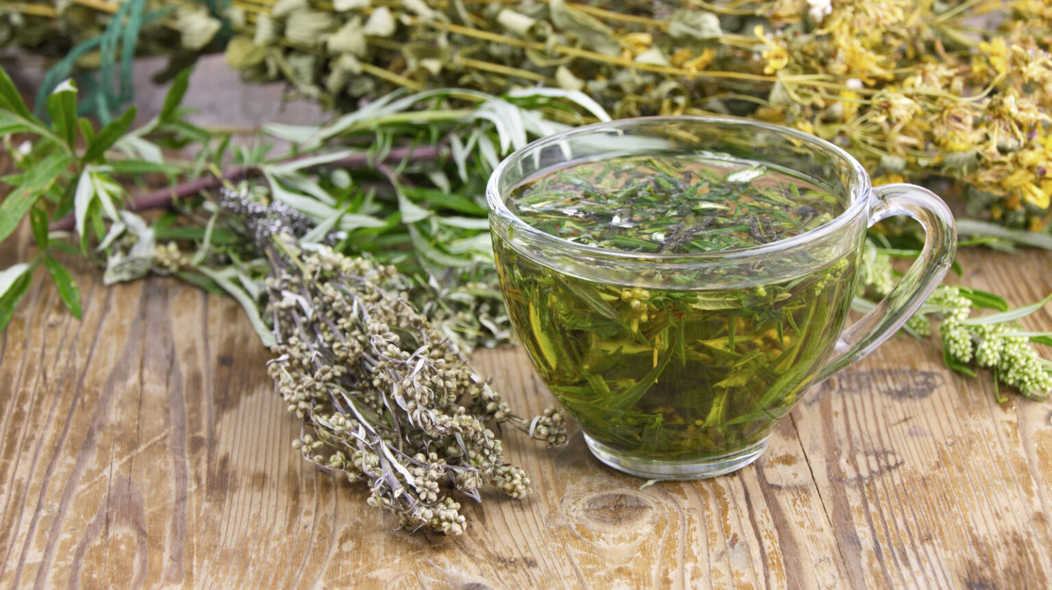 WORMWOOD BENEFITS,SIDE EFFECTS AND THEIR USES - Herbal Information
