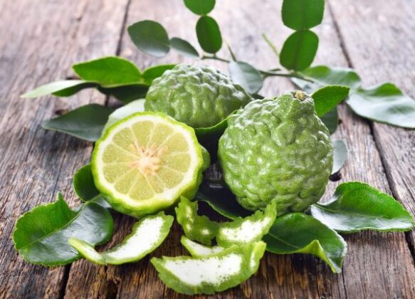 BERGAMOT BENEFITS AND HOW TO USE - Herbal Information