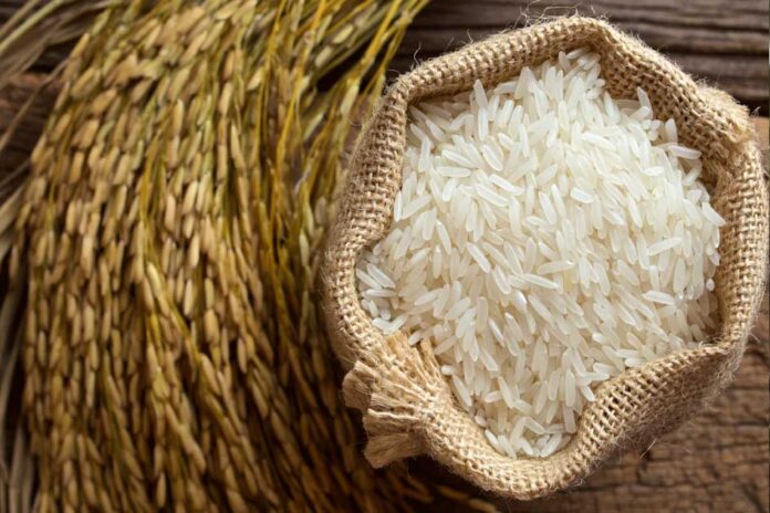 RICE BENEFITS,SIDE EFFECTS AND HOW TO USE - Herbal Information
